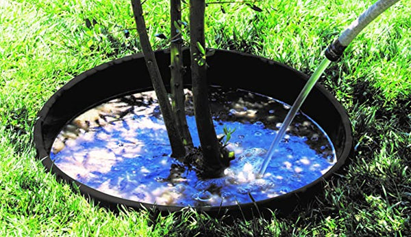 WaterRounds® Planting Rings – Deep-Root Watering & Clean Borders