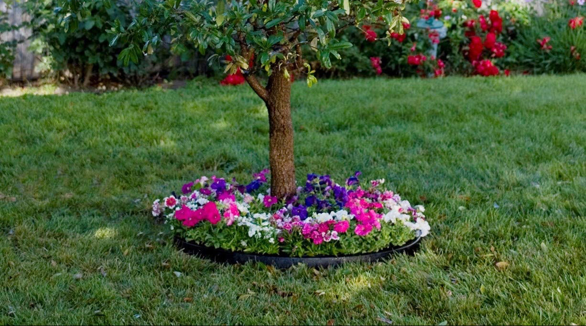 WaterRounds® Planting Rings – Deep-Root Watering & Clean Borders